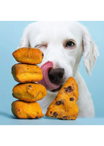 Biscuits pour chien à l'érable