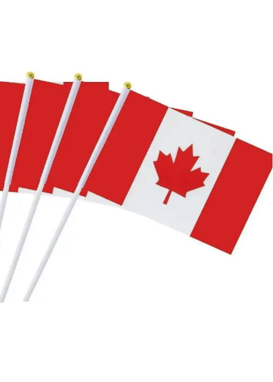 Set of 10 mini Canadian flags - Maple Treasures